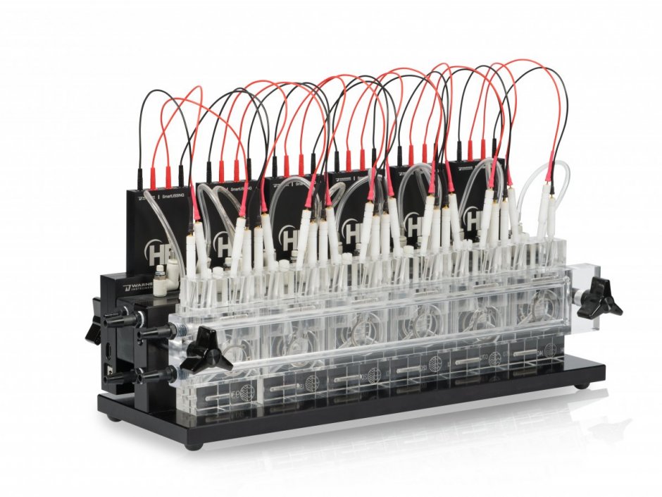SmartUSSING Ussing Chamber System | www.multichannelsystems.com