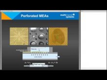 In Vitro MEA-Systems | www.multichannelsystems.com