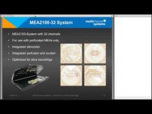 MEA2100-Systems | www.multichannelsystems.com
