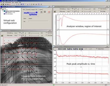 MC_Rack Tutorials: MEA Application Examples | www.multichannelsystems.com
