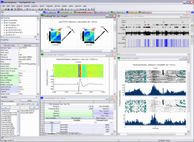 NeuroExplorer (NE) | www.multichannelsystems.com