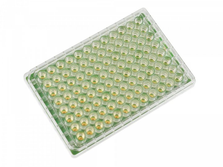 Multiwell MEA Plates | www.multichannelsystems.com