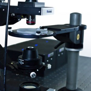 LASU-Microscope-and-Post-&-Platformjpg.jpg | www.multichannelsystems.com