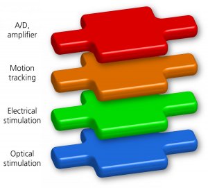 Modular Headstages.jpg | www.multichannelsystems.com